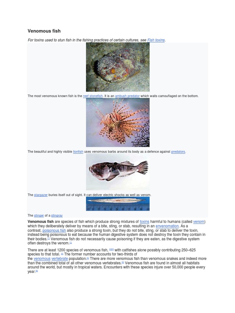 Venomous Fish | PDF | Venom | Zoology