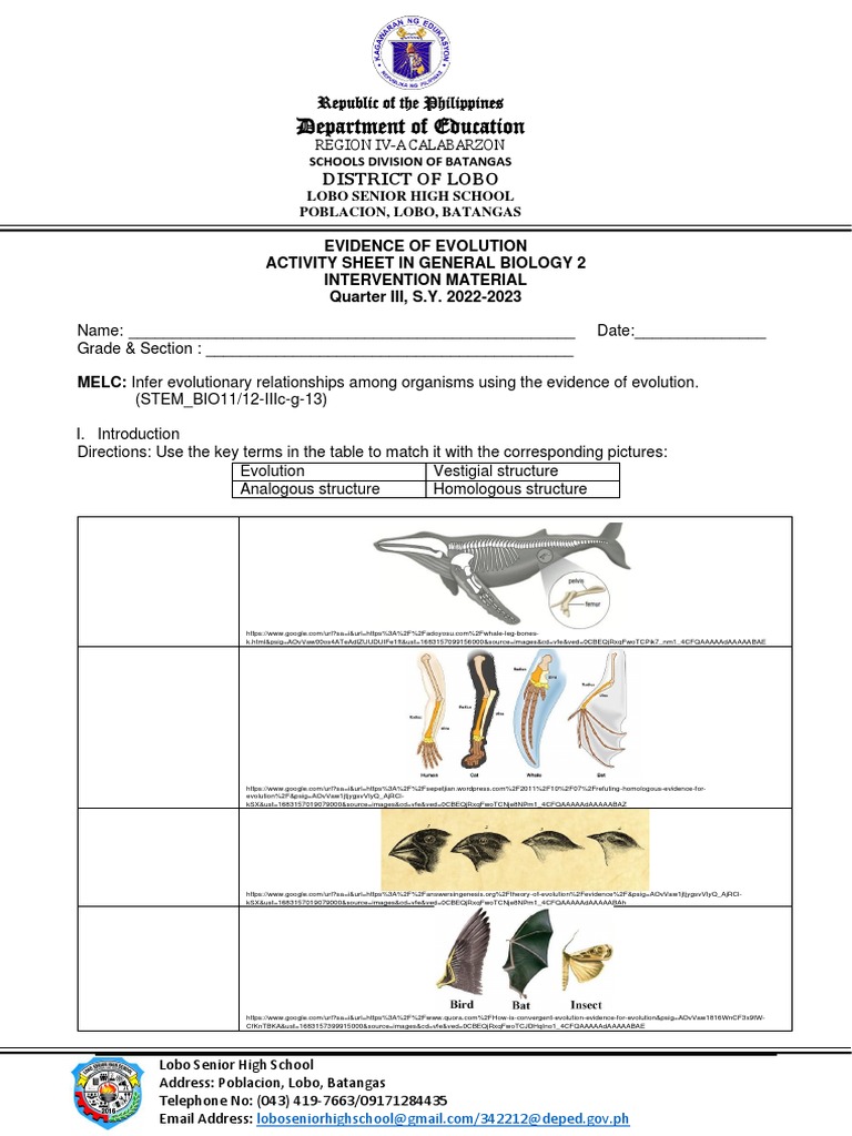 Biology Evolution Activity Sheet | PDF | Homology (Biology) | Evolution