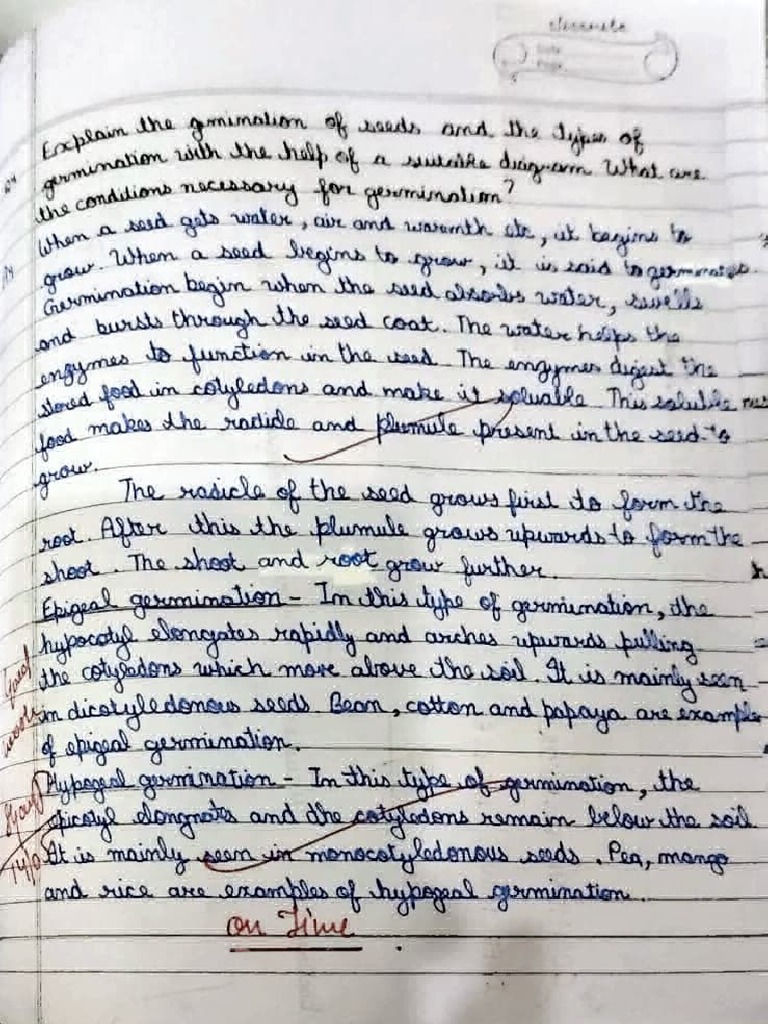 Biology Work Chapter 1 and Chapter 2 | PDF | Leaf | Horticulture