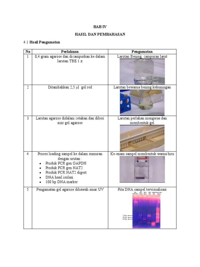 BAB IV Dan BAB V Analisis Dna Elektroforesis | PDF