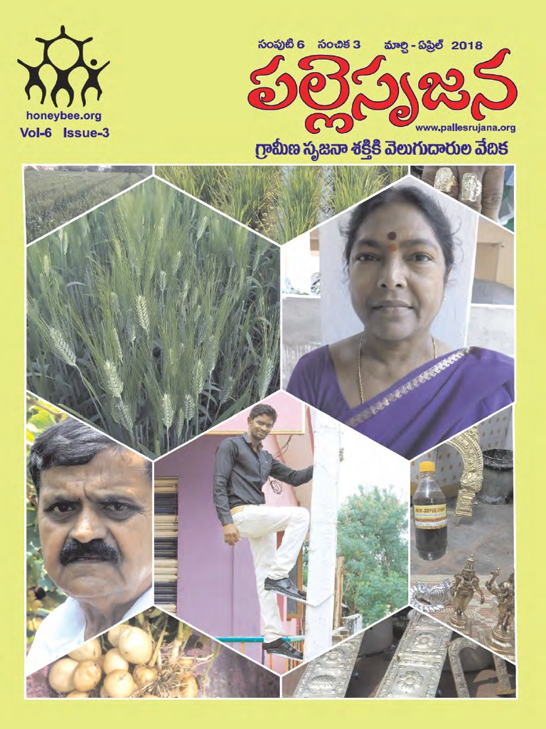CVR Article - Final - Palle Srujana | PDF