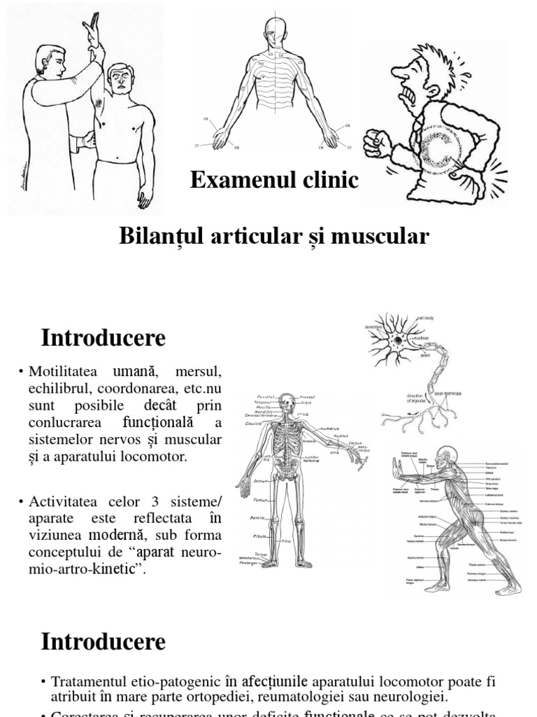 LP 7 Ex. Clinic Bilant Articular Si Muscular | PDF