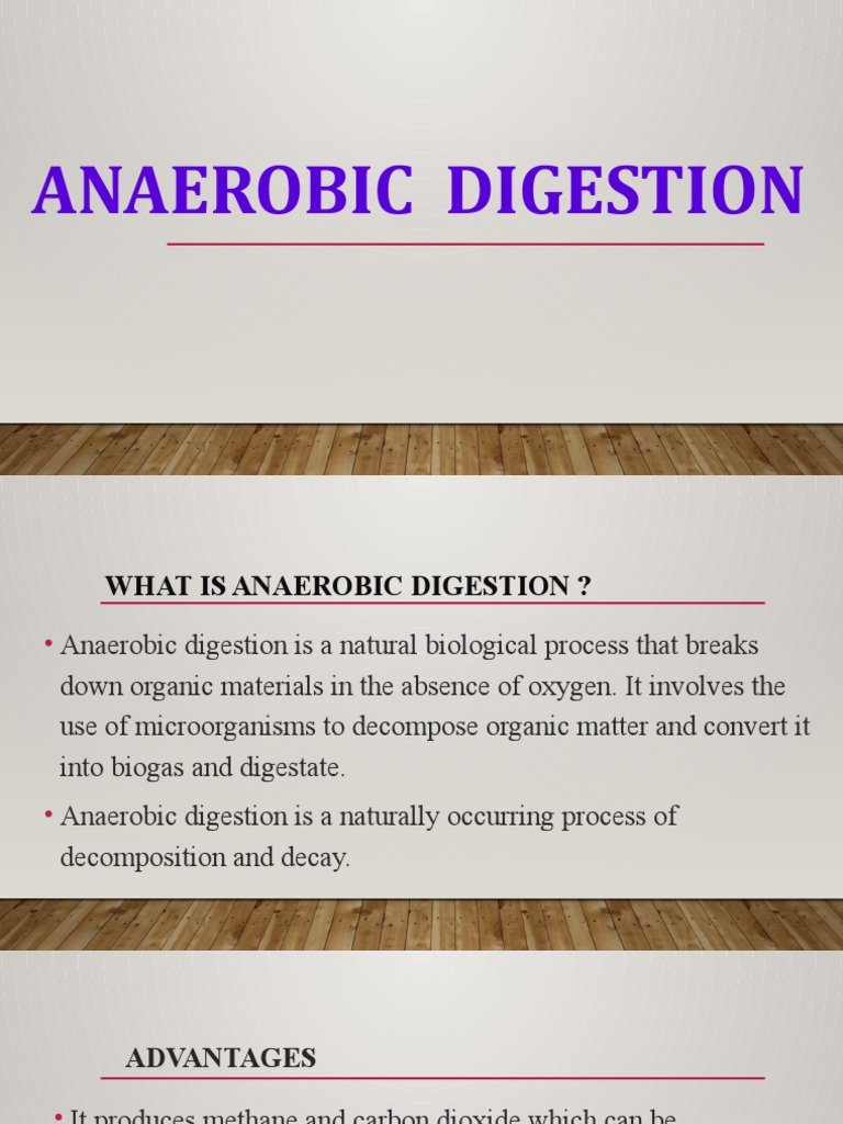 Anaerobic Digestion | PDF