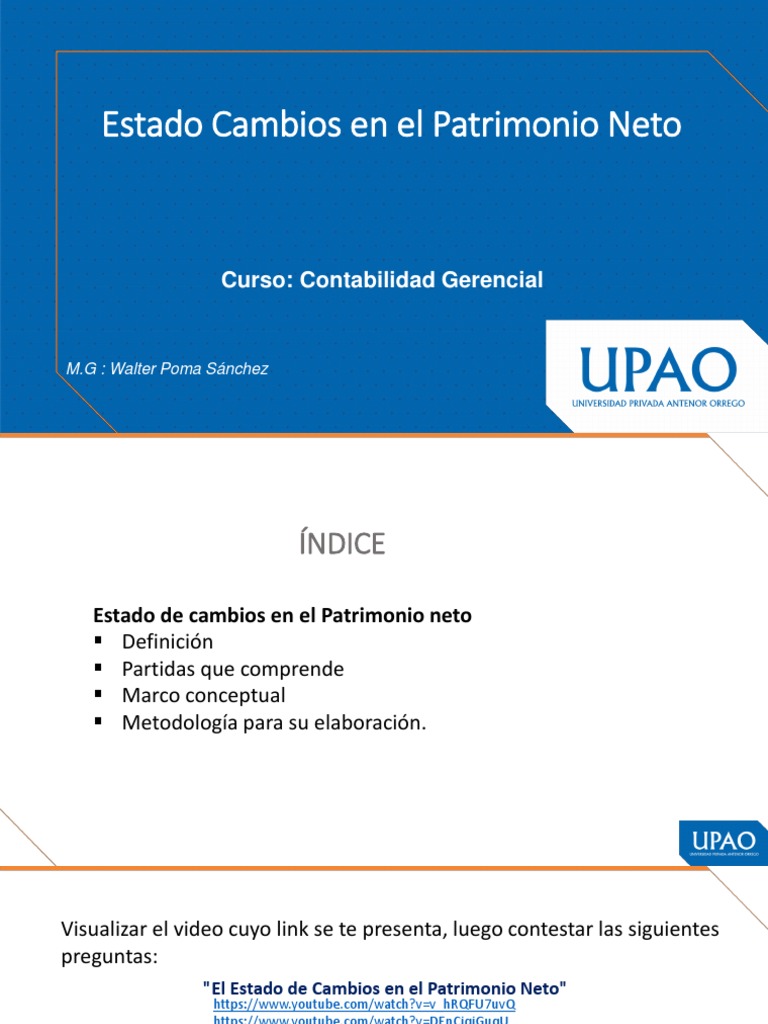 Estado Cambios en Patrimonio Neto | PDF | Valor neto | Contabilidad