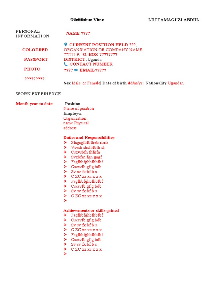 CV Template Luttamaguzi | PDF | Computing