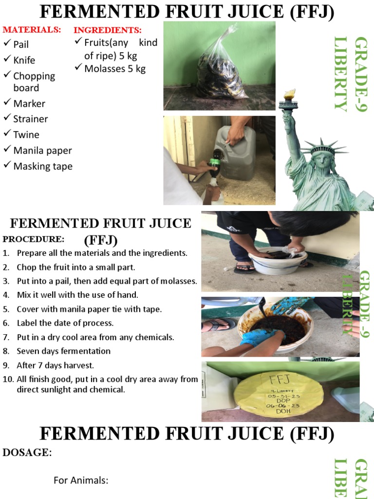 Fermented Fruit Juice FFJ | PDF