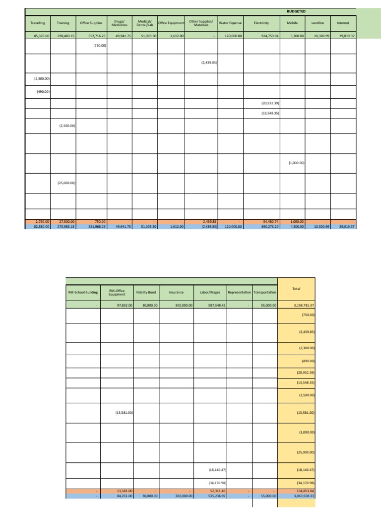BNHs SHS Budget Overview January 2021 | PDF | Debits And Credits ...