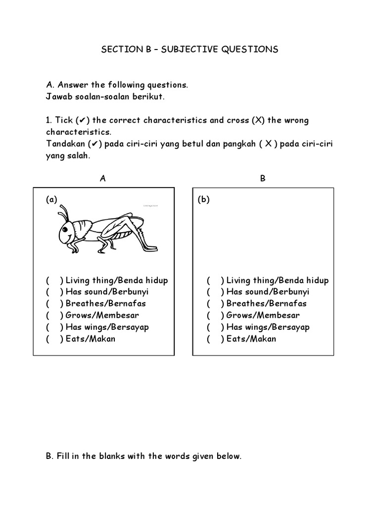 SCIENCE YEAR 2 SUBJECTIVE | PDF