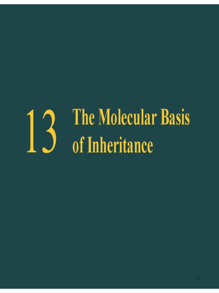 Molecular Basis of Inheritance Overview | PDF | Dna Replication ...