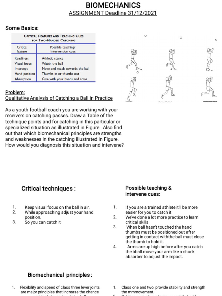 Assignment Biomechanics | PDF