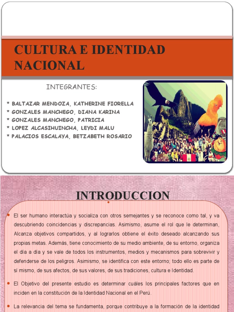 Plurietnicidad y Identidad Nacional en Perú | PDF | Perú | Racismo