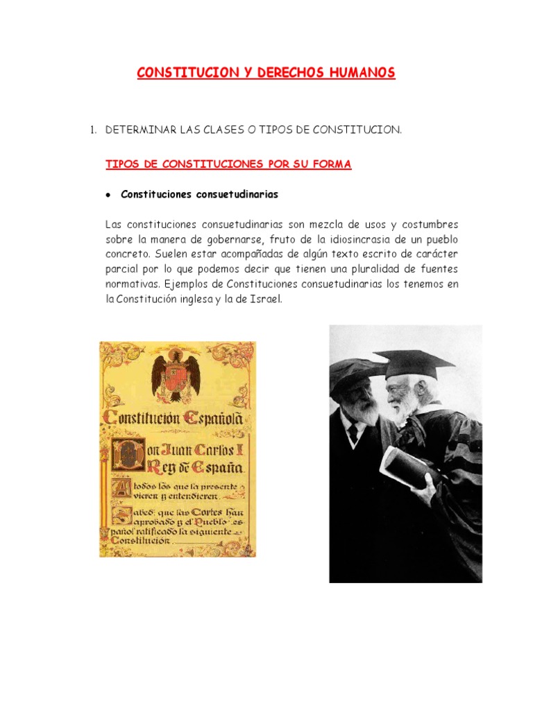 Determinar Las Clases O Tipos De Constitucion Pdf Constitución