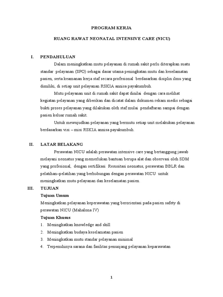 Program Kerja Pelayanan NICU | PDF