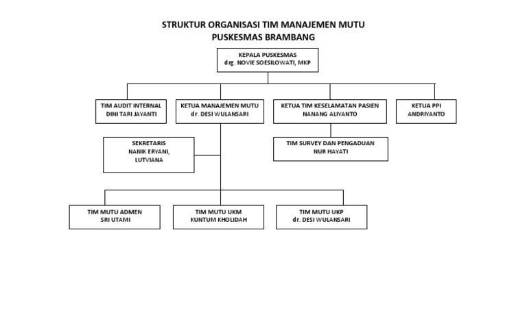 Struktur Organisasi Tim Manajemen Mutu | PDF