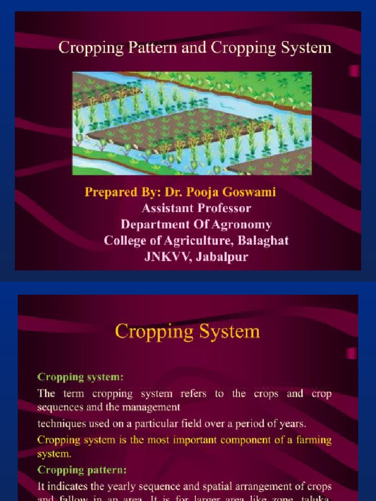 Cropping System | PDF