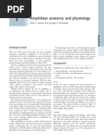 Axolotl Taxonomy | PDF