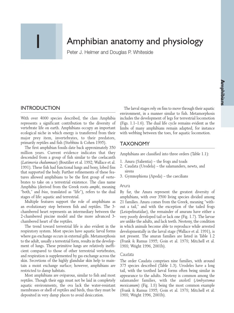 Anatomy and Evolution of Amphibians | PDF | Amphibian | Frog