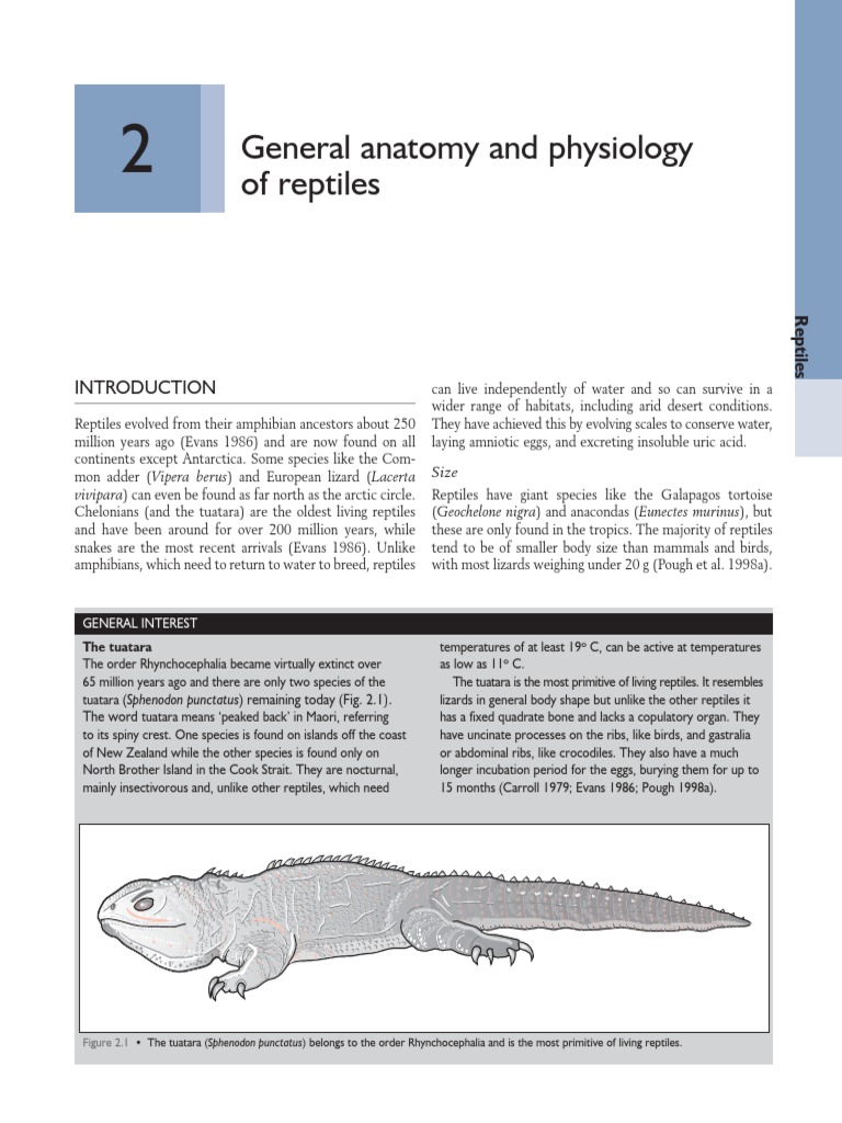 Cap. 02 - General Anatomy and Physiology of Reptiles | PDF | Atrium ...