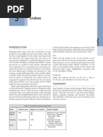 Steiner Stick and Holdaway Analysis | PDF | Human Head And Neck ...