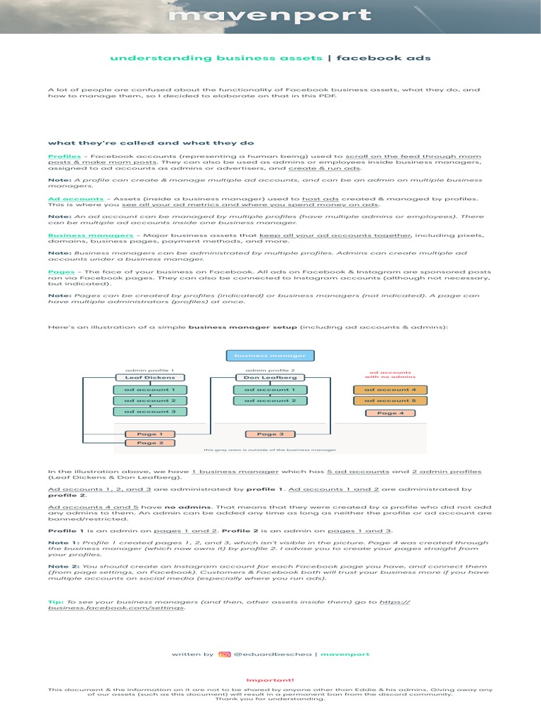 Understanding_business_assets_-_facebook_ads_-_mavenport | PDF ...