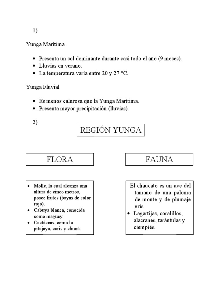 Yunga Marítima | PDF