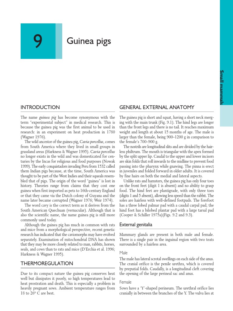 Cap. 09 - Guinea Pigs | PDF | Thymus | Tooth