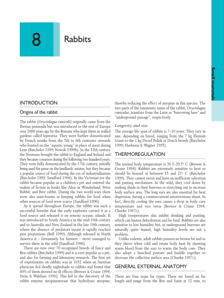 Cap. 08 - Rabbits | Download Free PDF | Tooth | Lung