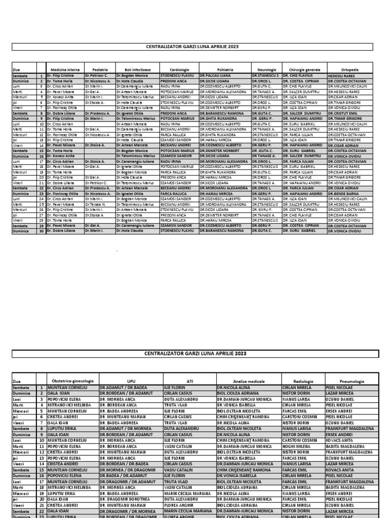Fisier 113 | PDF