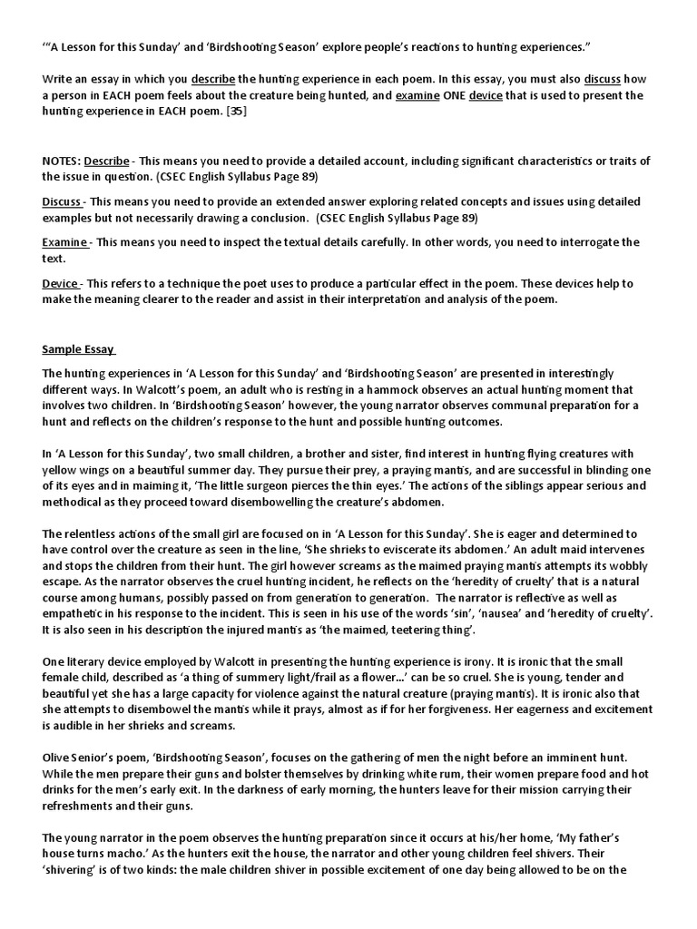 Sample English B Essay - A Lesson For This Sunday and Birdshooting ...