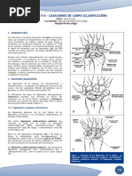 Signo del Perrito Escocés en Radiología | PDF | Vértebra | Medicina