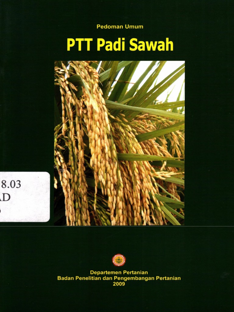 Pedoman Umum PTT Padi Sawah | PDF