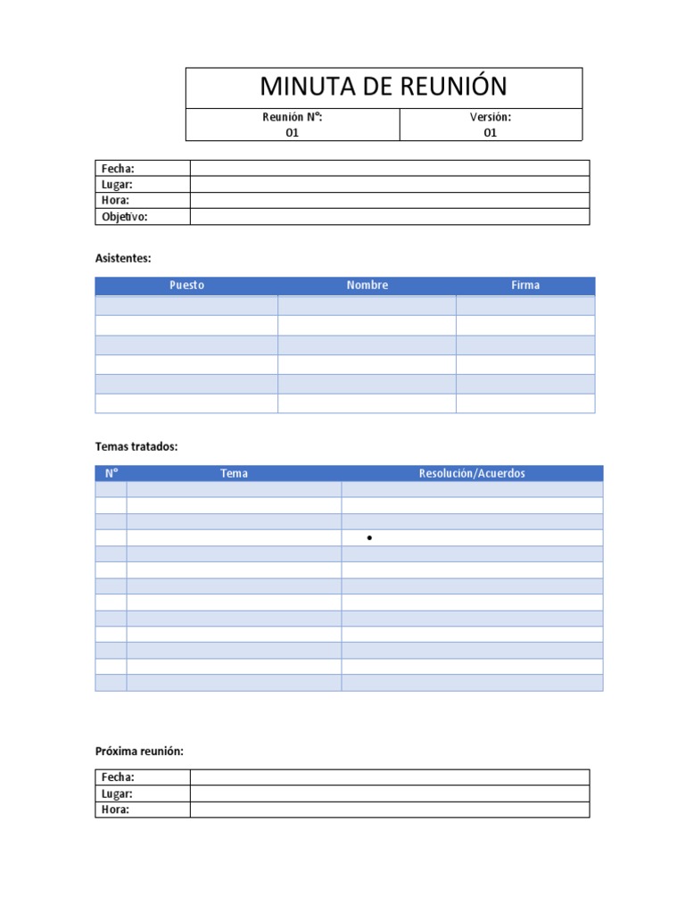 Minuta de Reunión N°01 | PDF