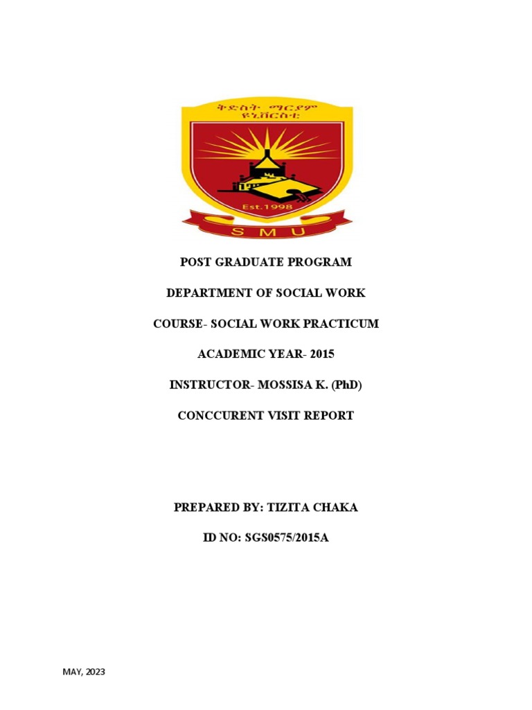 Concurrent Visit Report: Child Reunification | PDF | Family | Social Work
