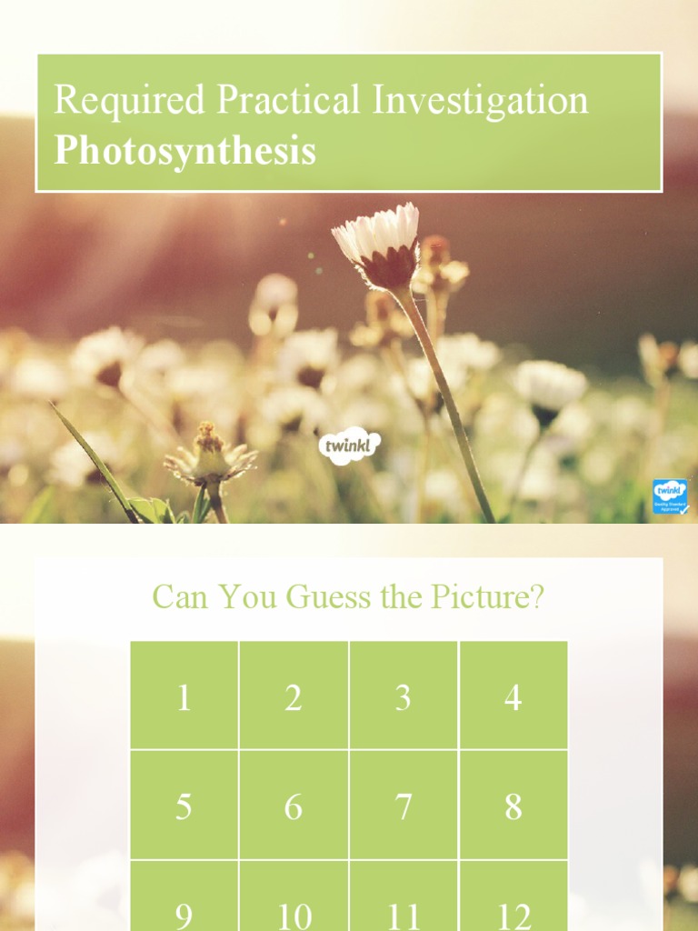 t4 SC 236 Required Practical Investigation Photosynthesis Quiz ...
