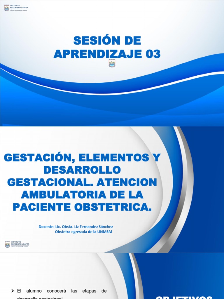 Sesion n3. Desarrollo Gestacional. Atencion Ambulatoria de La Paciente Obstetrica. | PDF | El ...