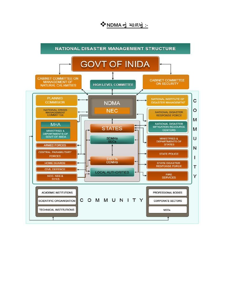 Ndma Structure | PDF