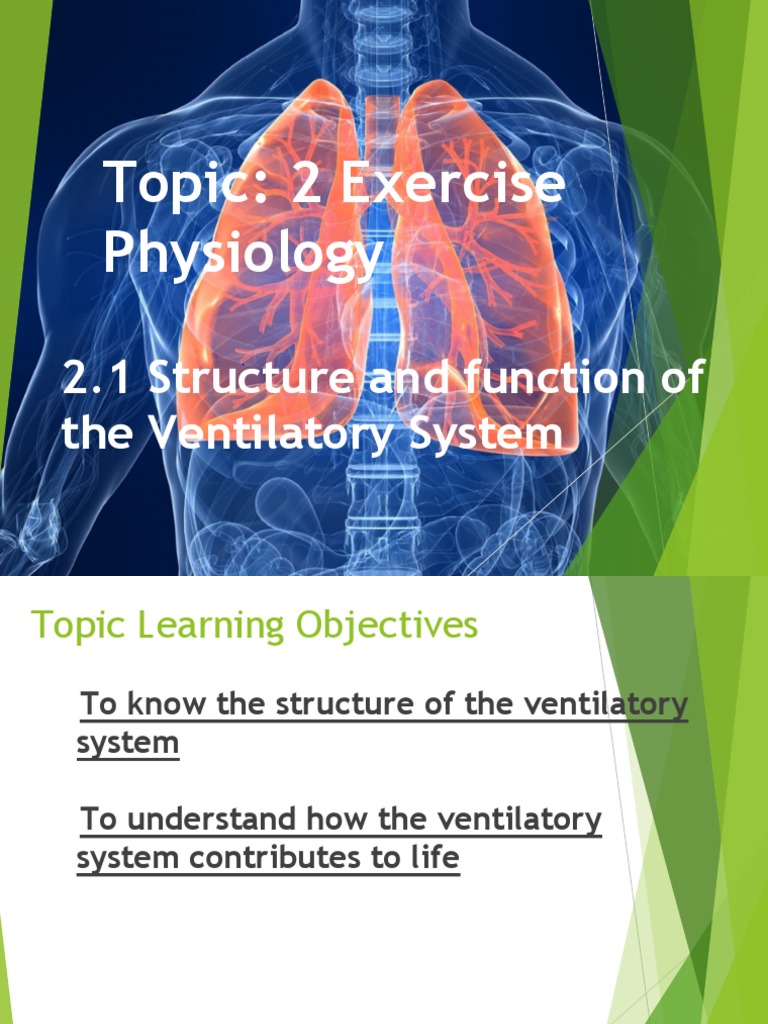 Ventilatory System Structure and Functions | PDF | Respiratory Tract ...