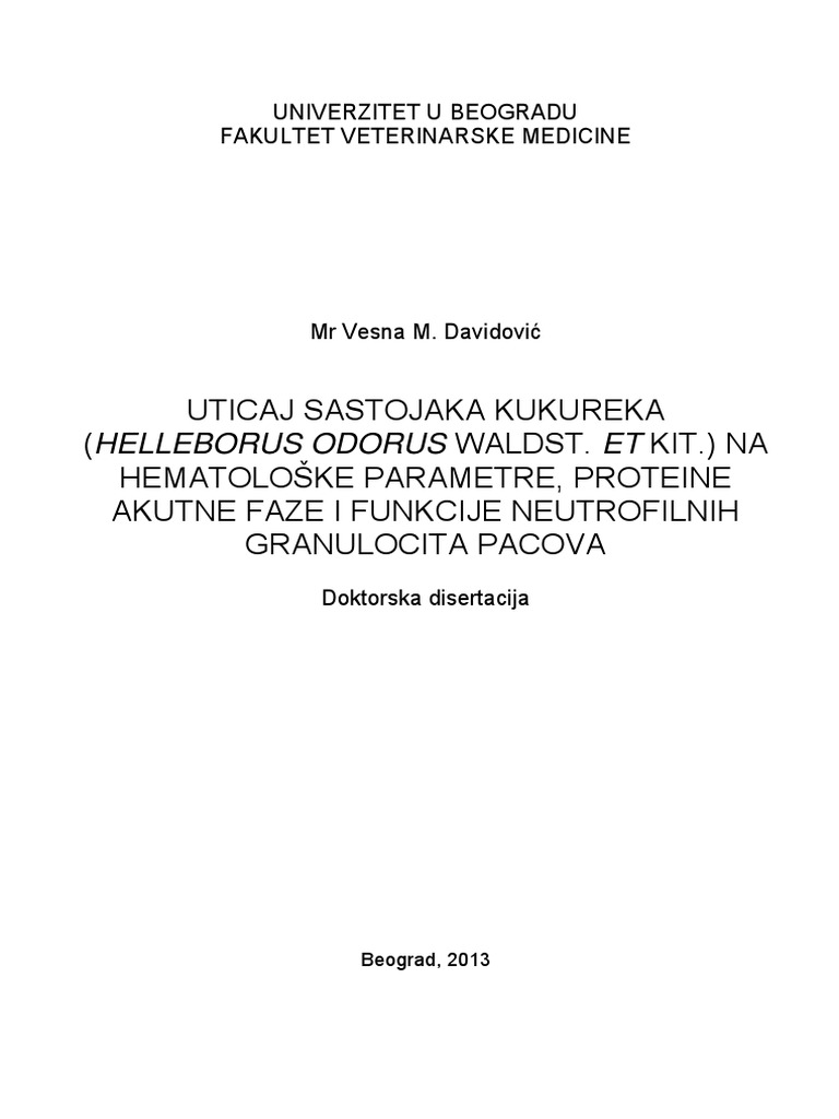 Disertacija | PDF