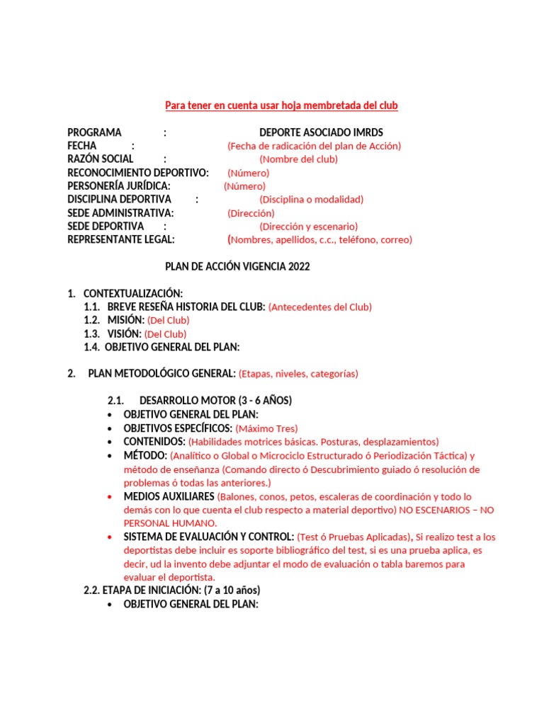 Formato Plan De Acción Pdf