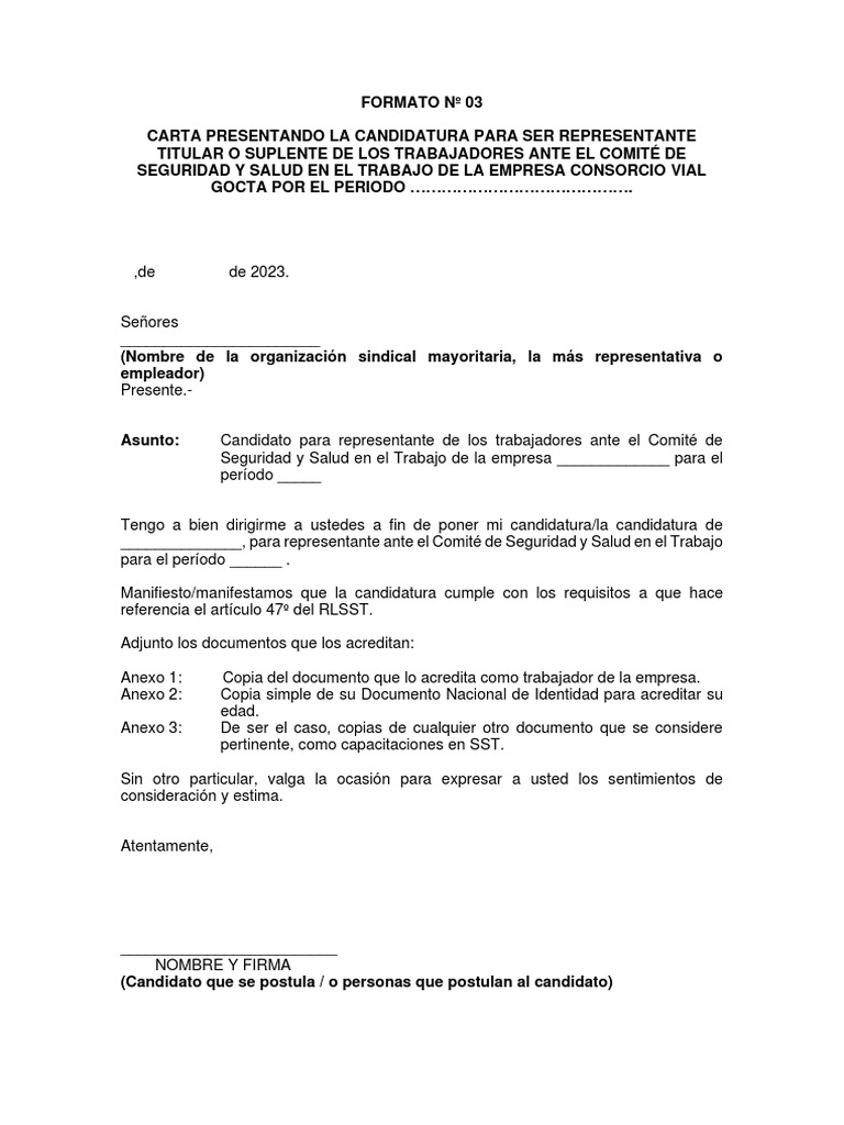 3. Carta Presentacion Candidatura | PDF