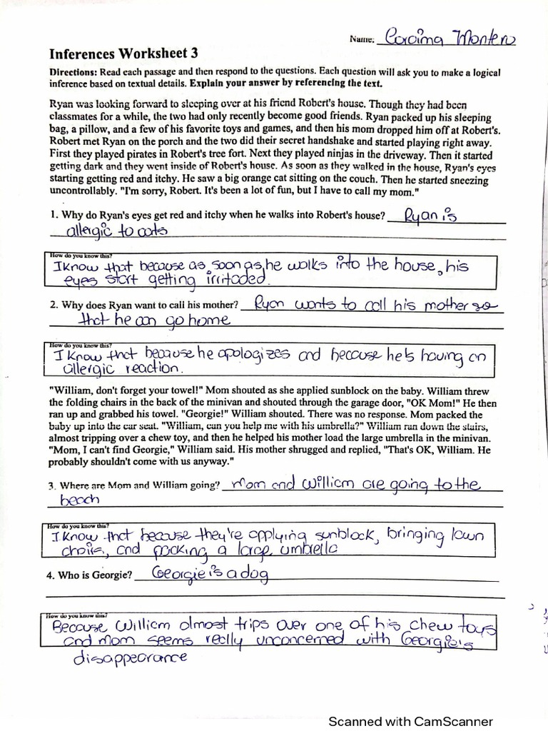 Inference Worksheet 3 | PDF