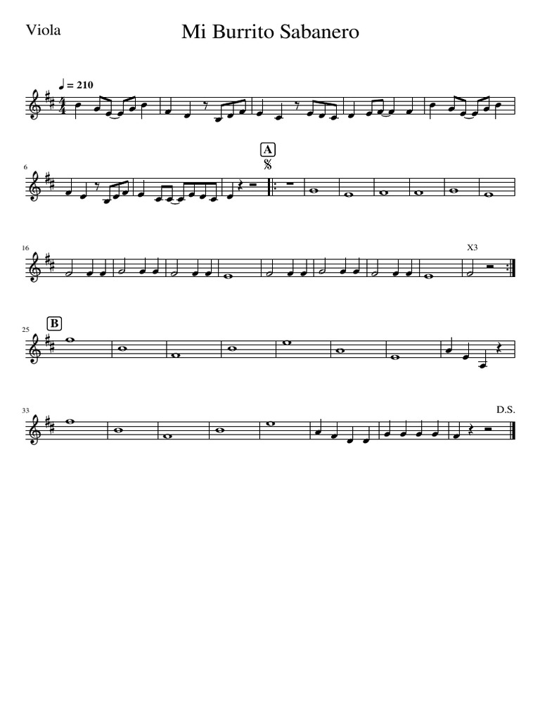 Mi Burrito Sabanero Sheet Music | PDF