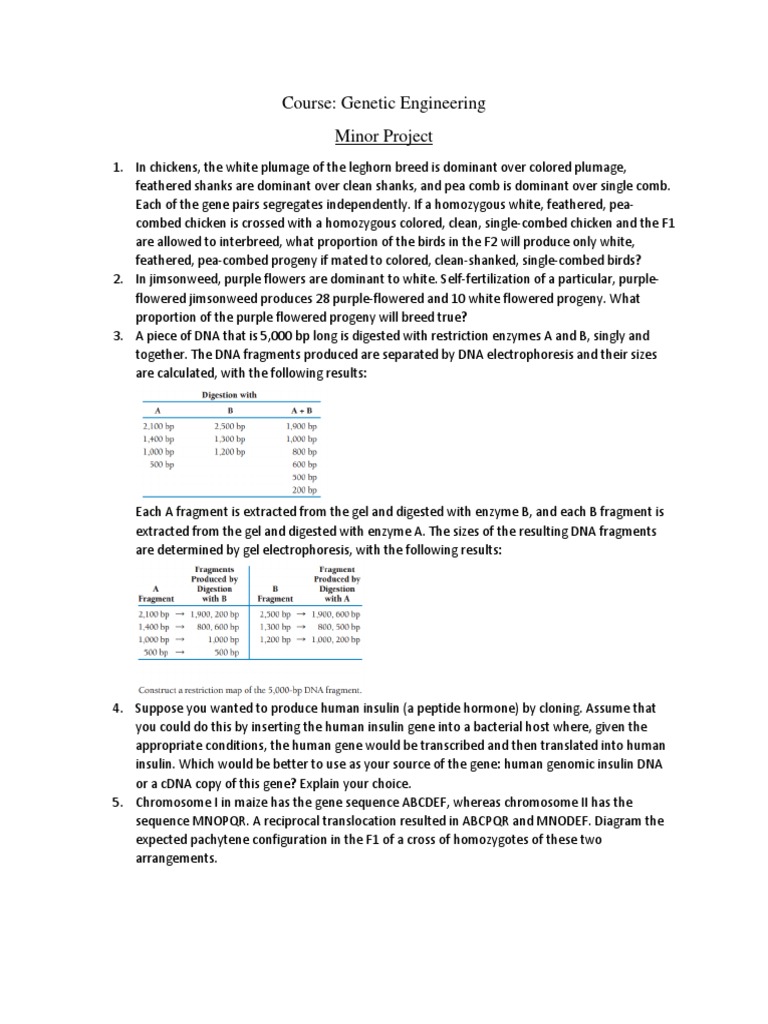Genetic Engineering Minor Project | PDF | Science & Mathematics