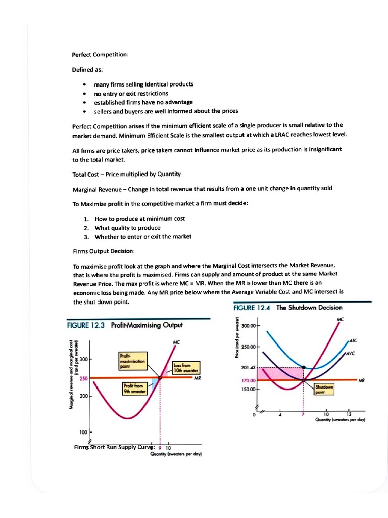 Perfect Competition Summary | PDF