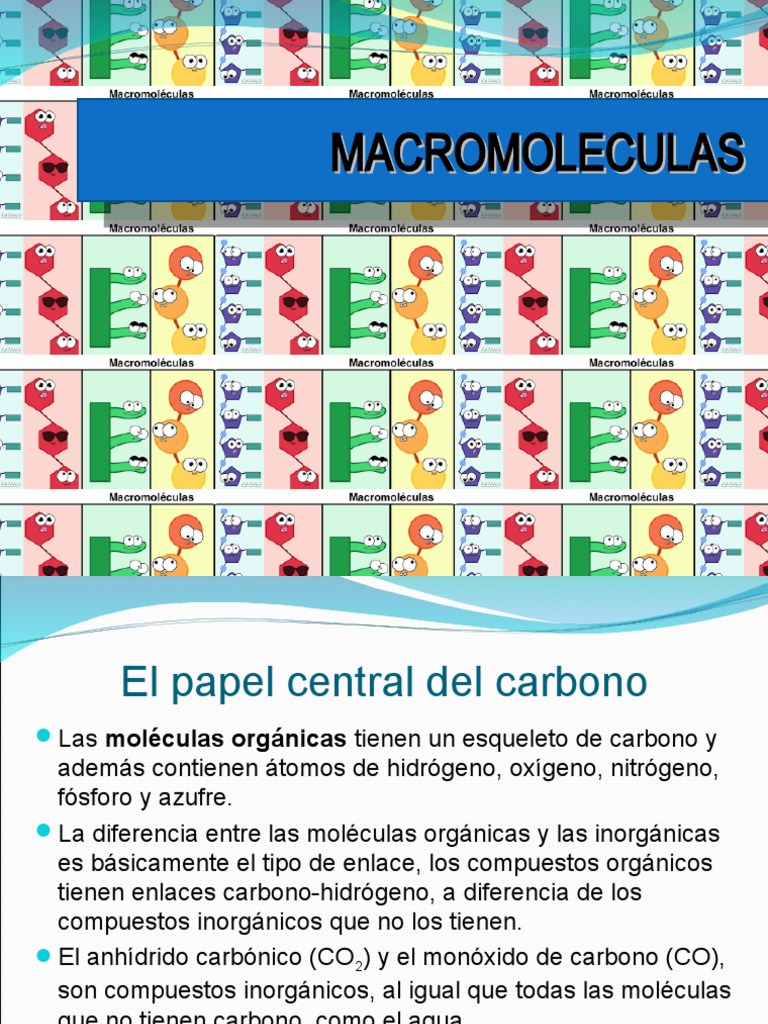 Clase 4 PIVUCS Macromoleculas | PDF | Compuestos orgánicos | Lípido