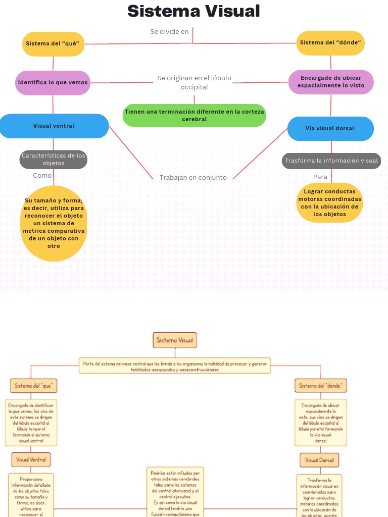 Mapas Conceptuales Metodología | PDF | Percepción visual | Sistema visual
