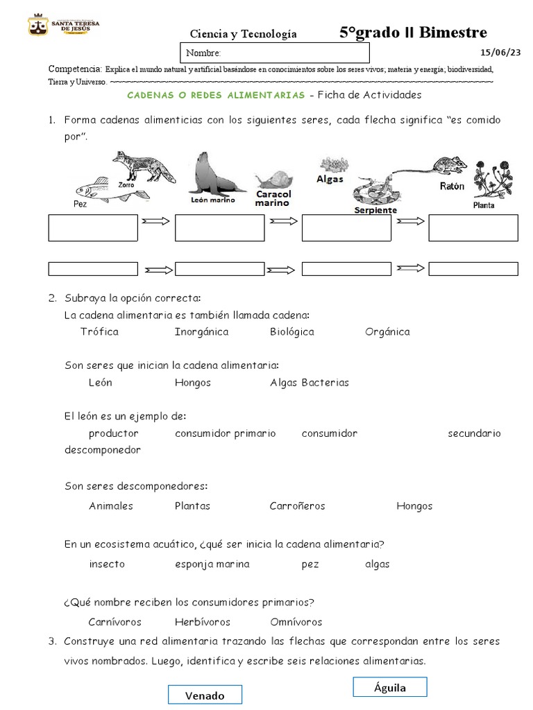 CADENAS Y REDES ALIMENTICIAS | PDF | Red alimentaria | Ciencias de la ...