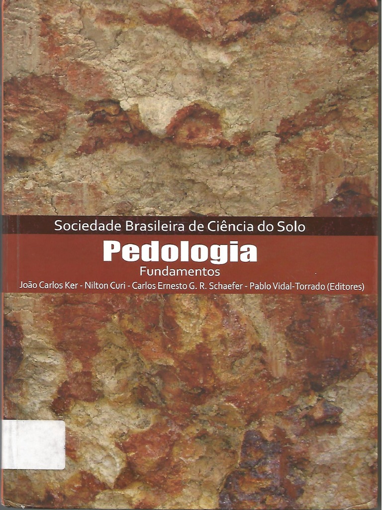 Pedologia Fundamentos Cap 7 | PDF