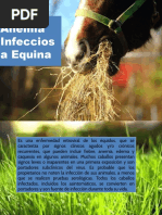 Anemia Infecciosa Equina | PDF | Virus | Retrovirus