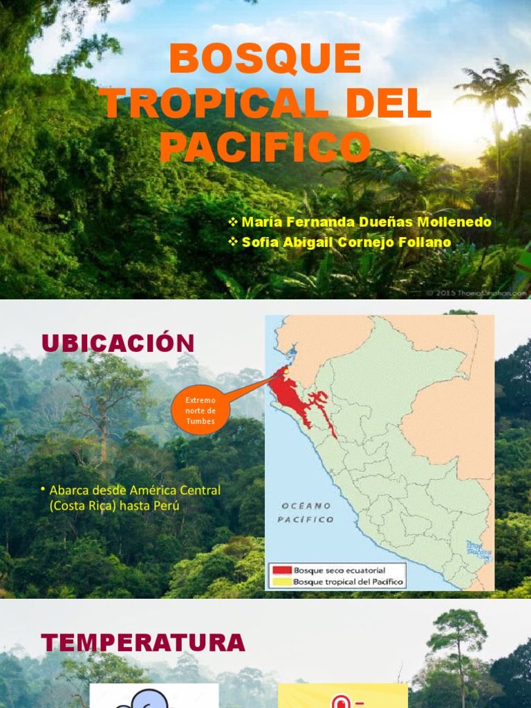 Bosque Tropical Del Pacifico | PDF